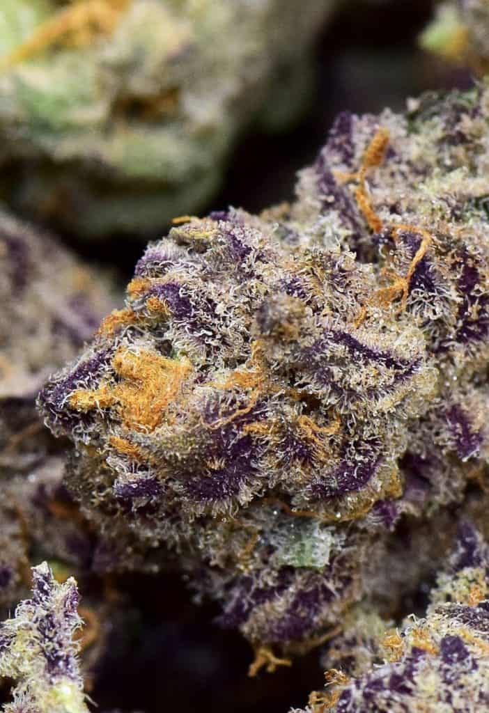 Cannabis Flowers: Weed, Marijuana, POT, Buds.. - Saigon Weed